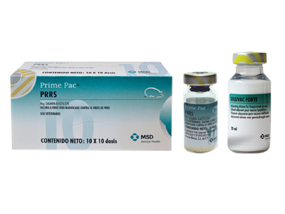 PRIME PAC® PRRS - MSD Salud Animal México