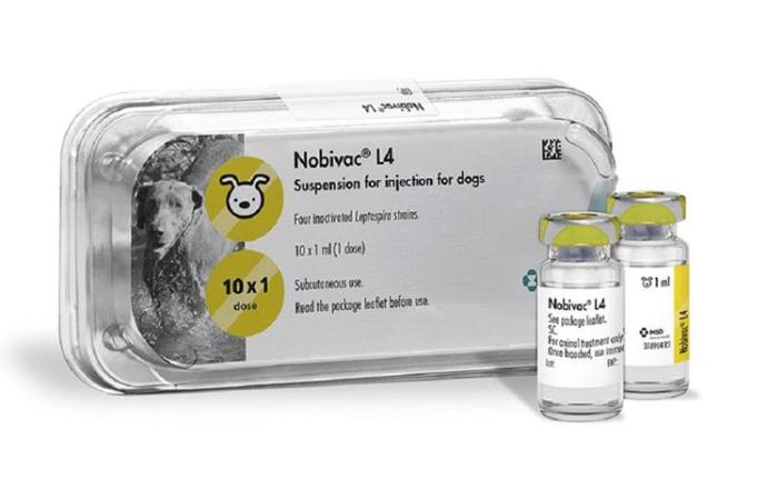 NOBIVAC® DH PARVO-C, protección canina - MSD Salud Animal México