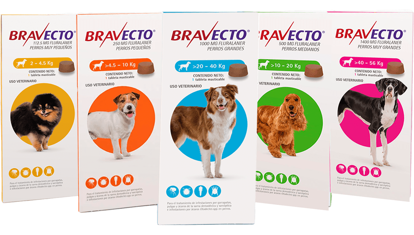 Bravecto® Perros - MSD Salud Animal México