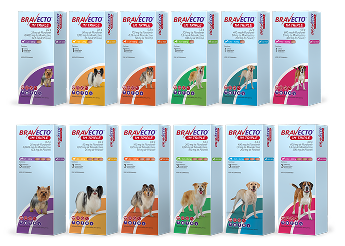 Bravecto 1M Triple - MSD Salud Animal México